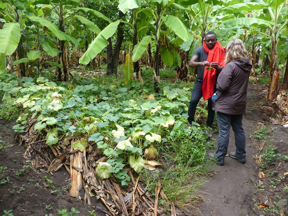 Mulala Cultural Tour - Destination Specialists