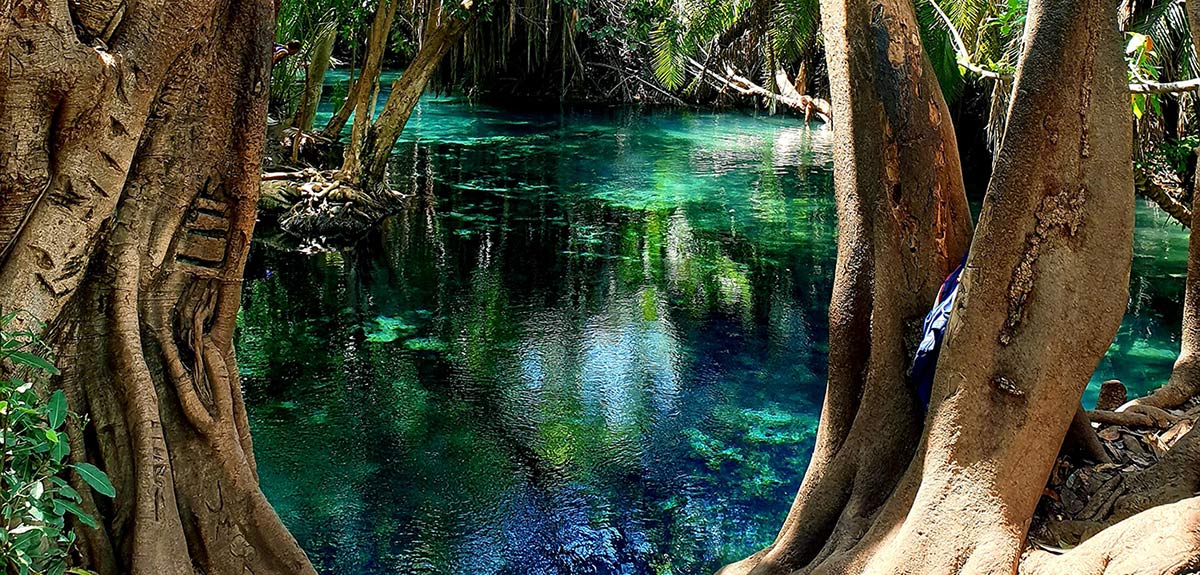 Kikuletwa Hot Spring Tour - Destination Specialists